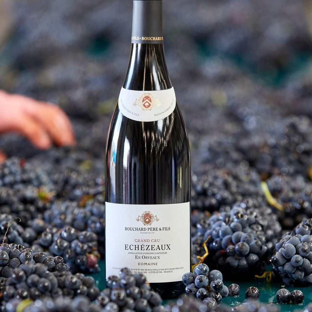 Ralph's Wines & Spirits | Deliveries & Pickups in Metro Manila – Ralph ...